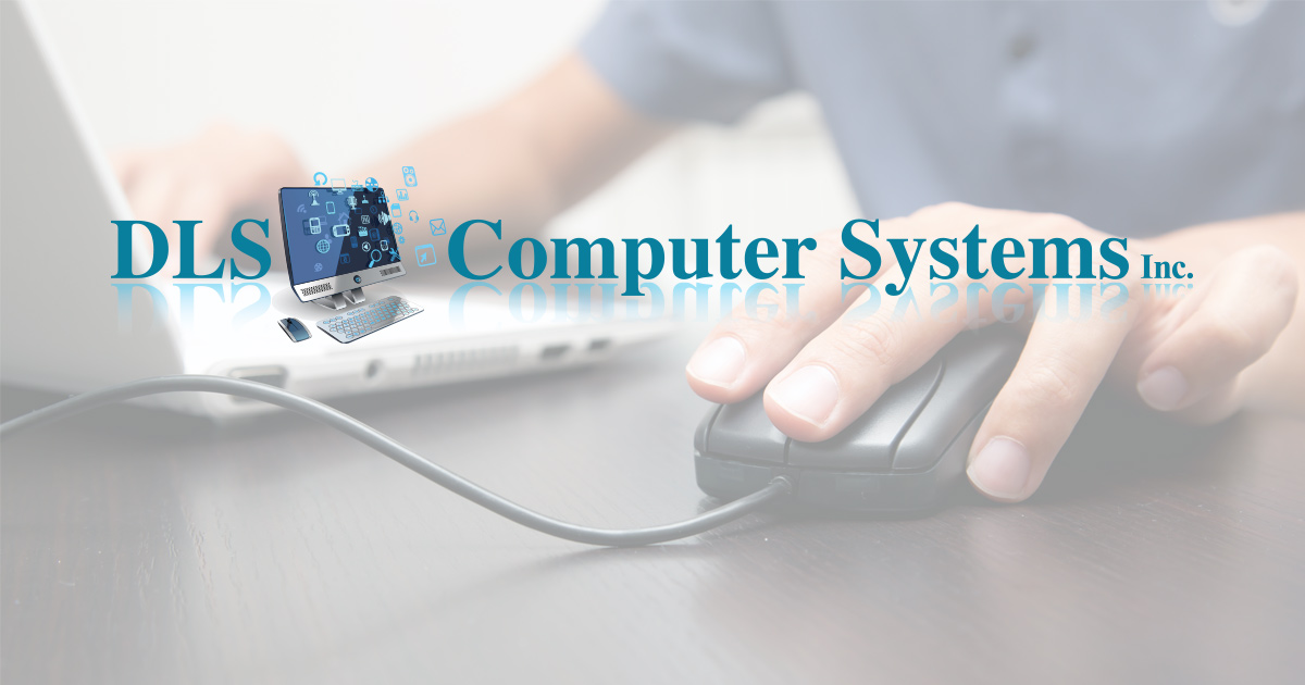 About – DLS Computer Systems